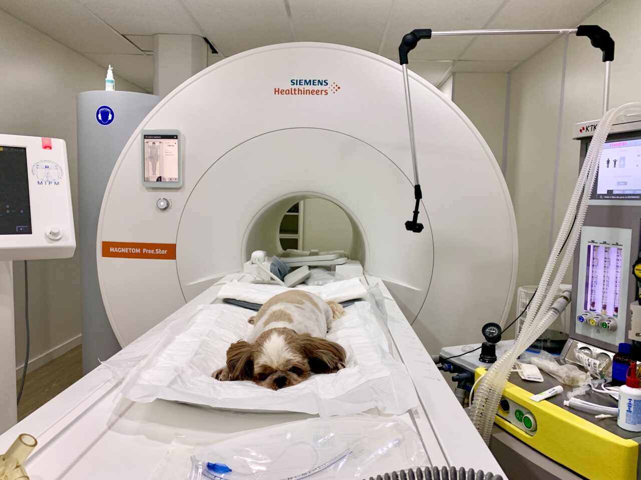 Ressonância Magnética | Hospital Veterinário 24h Pet Care